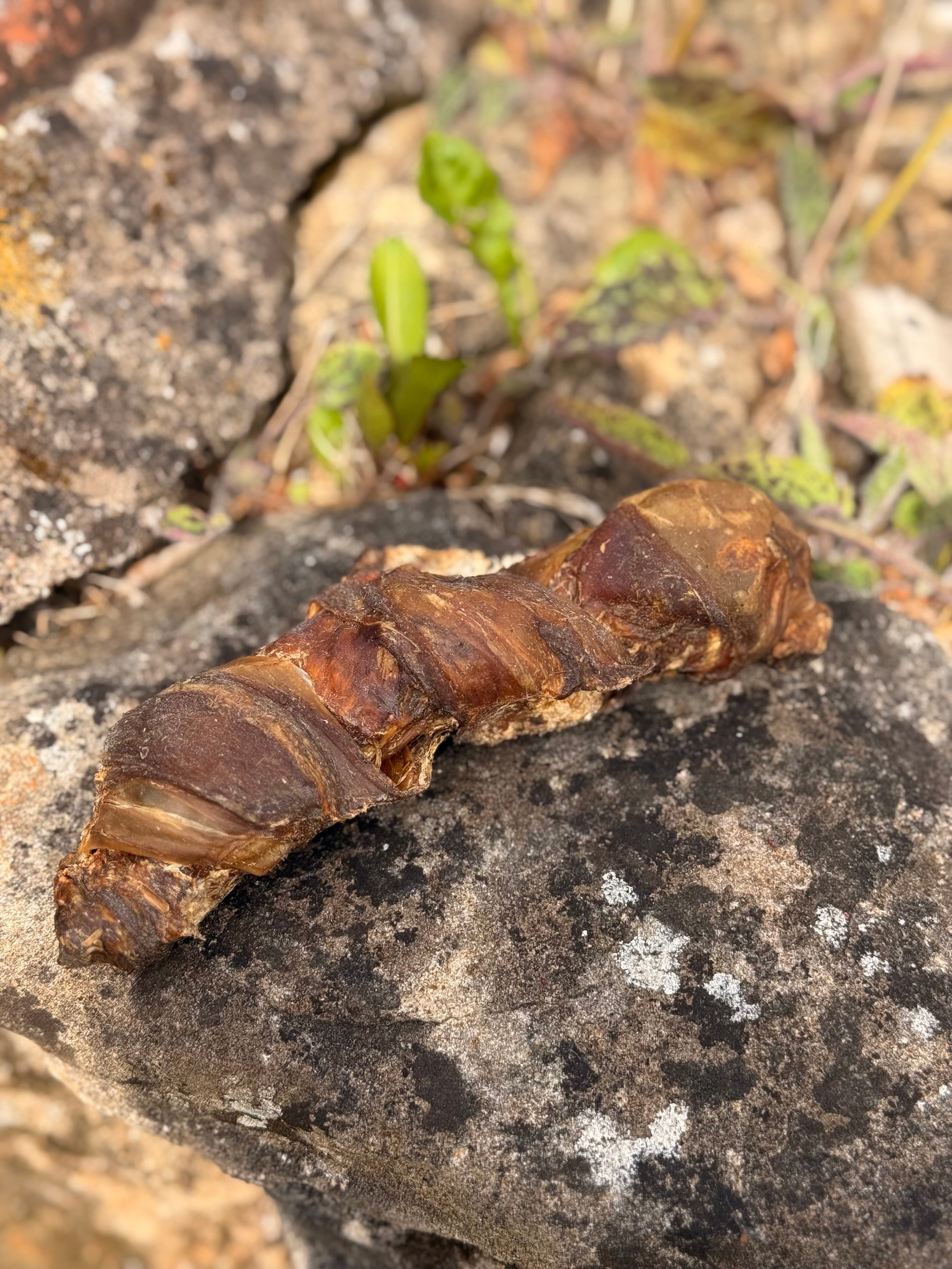 Biltong Wrapped Buffalo Tail – Bodhi & The Birchtree