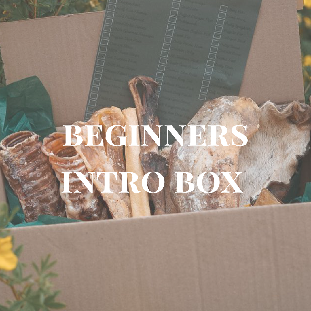 Introduction to Natural Chews Box – Bodhi & The Birchtree