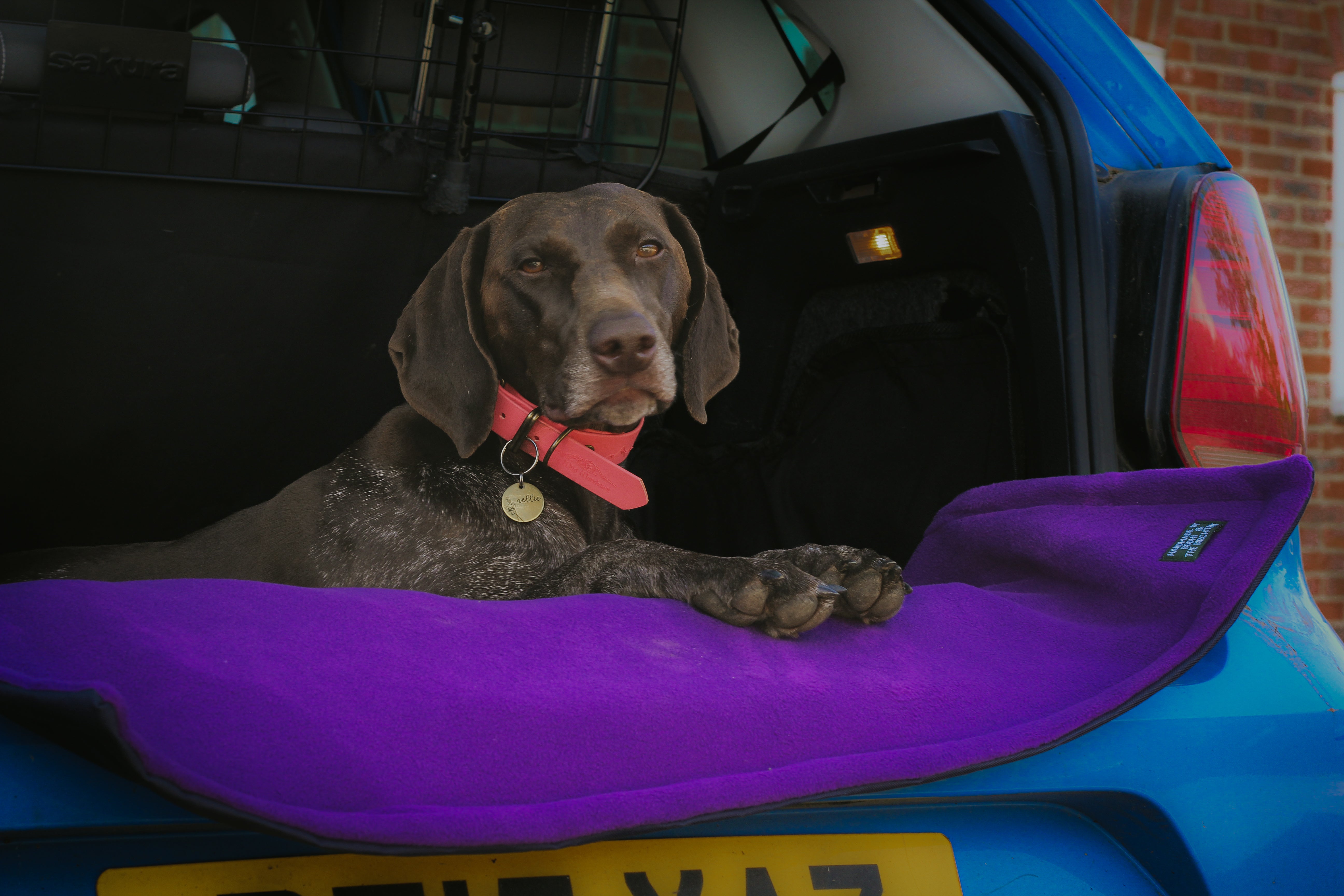 Pre-Order Bodhi & The Birchtree Purple & Navy Boot Blanket | Bodhi ...