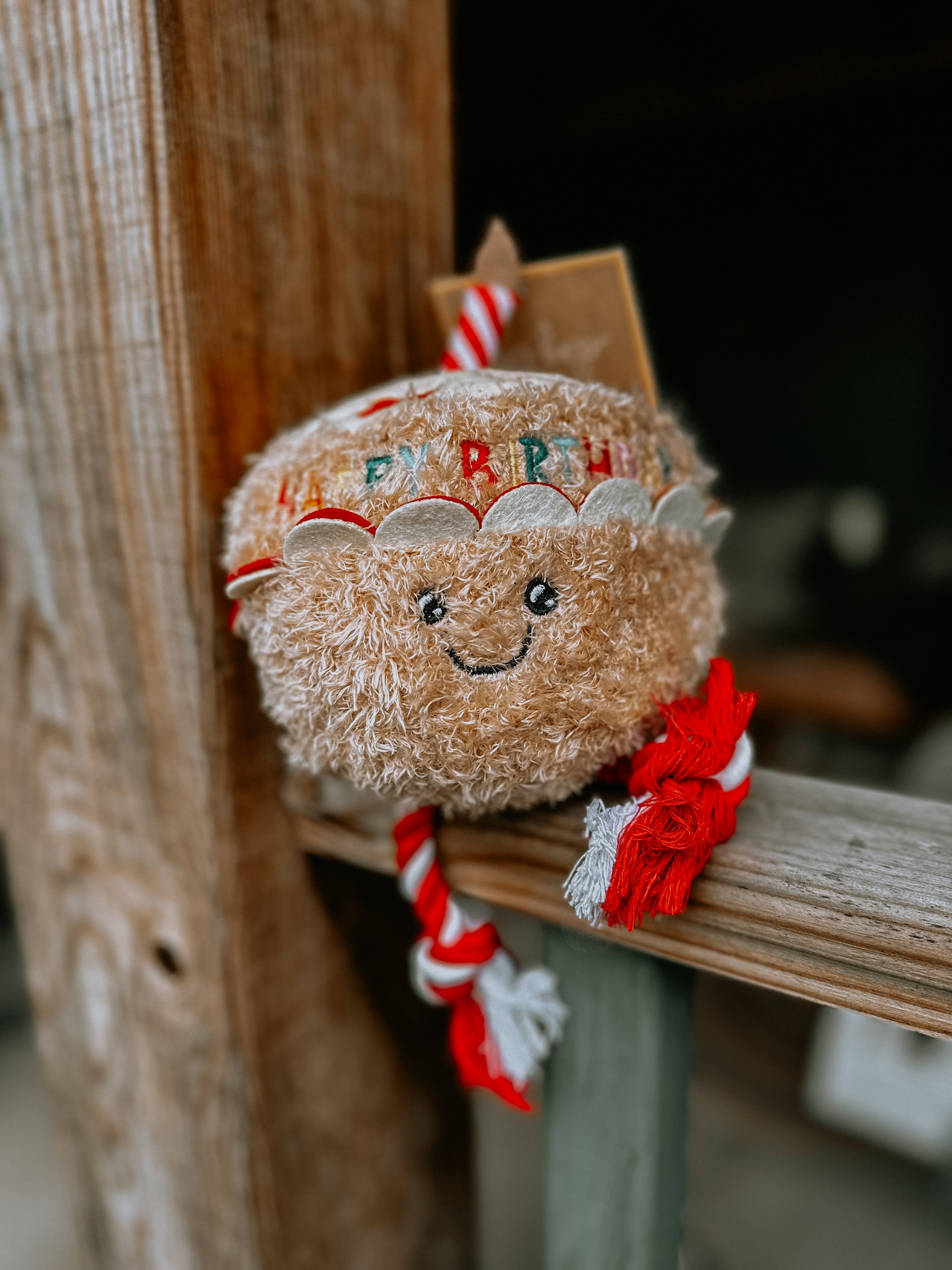 Birthday Cake Toy | Bodhi & The Birchtree