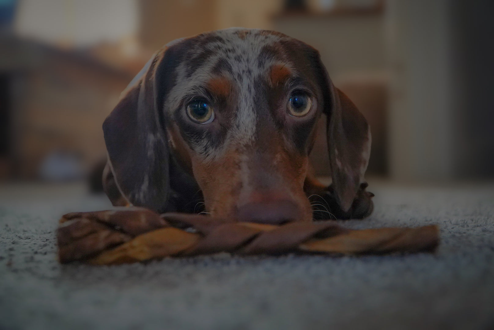 Medium Goat Braids – Bodhi & The Birchtree