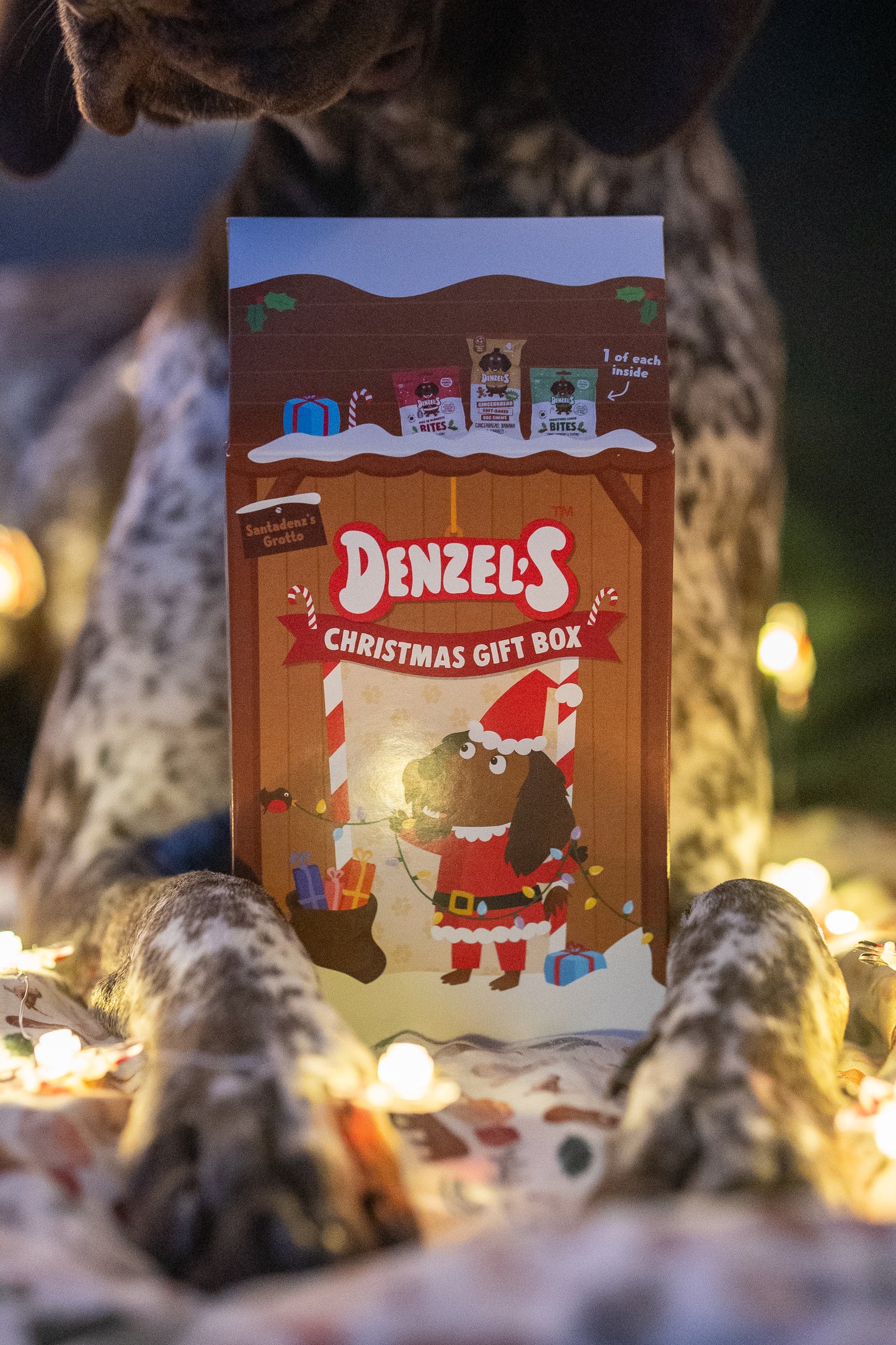 Denzel’s Christmas Grotto Gift Box – Bodhi & The Birchtree
