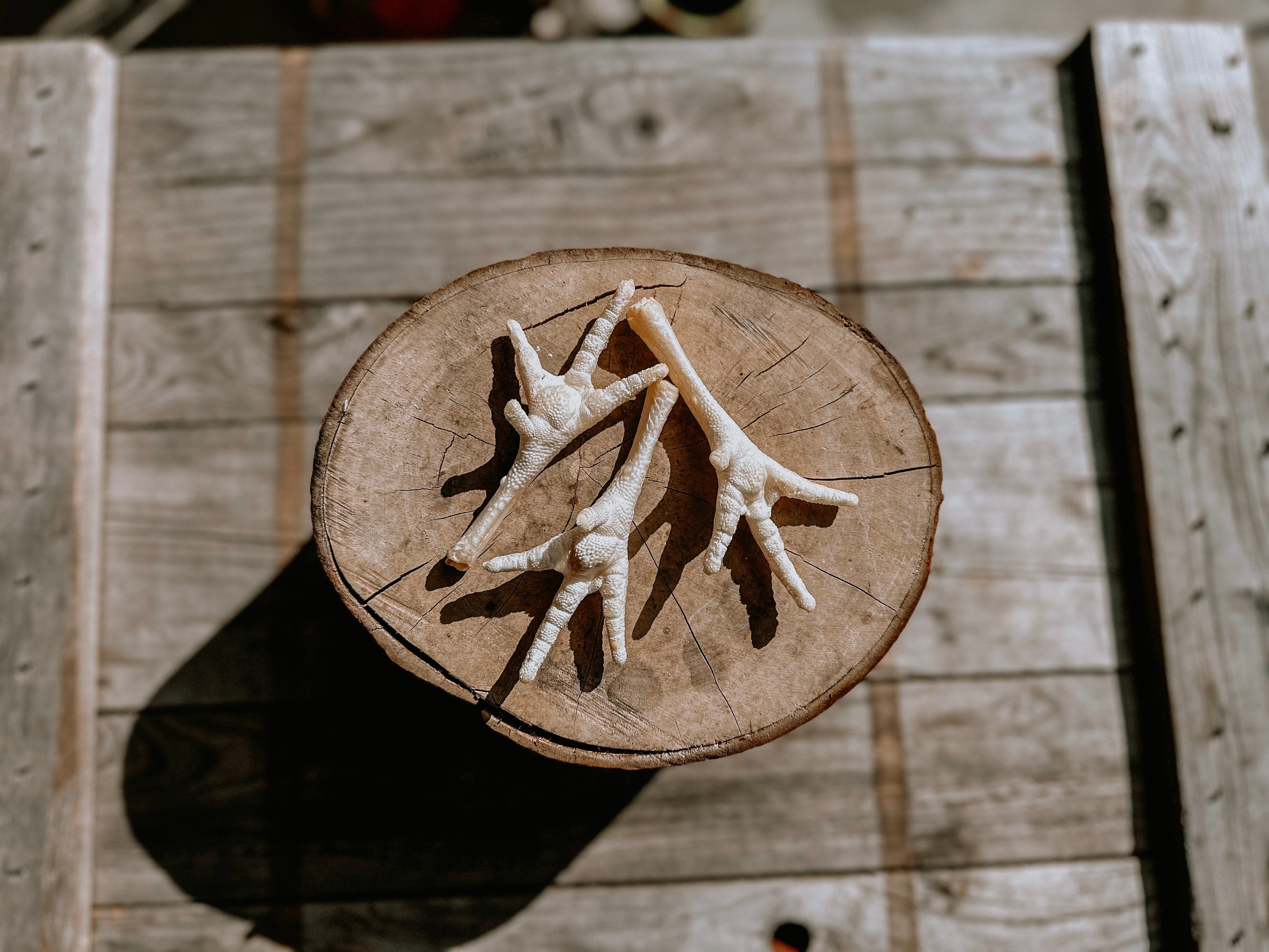 Puffed Chicken Feet – Bodhi & The Birchtree