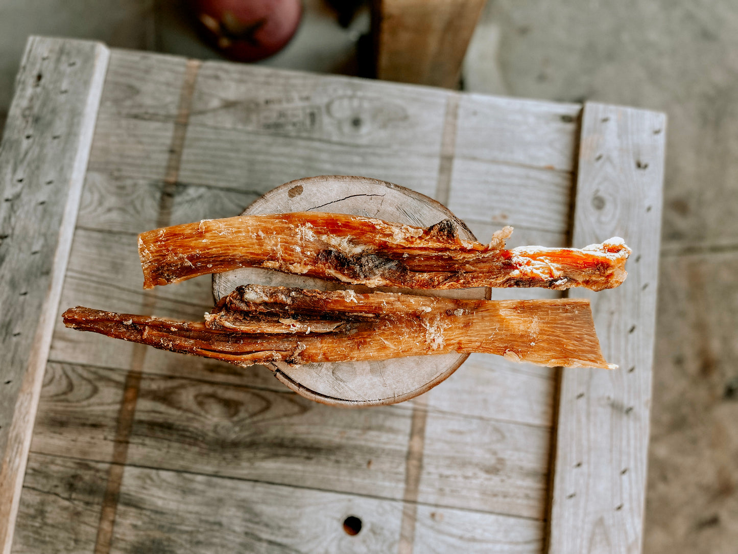 Giant Paddywhack | Bodhi & The Birchtree